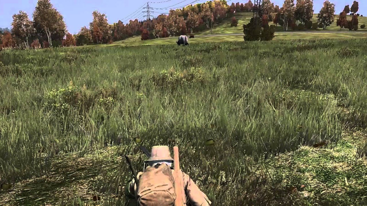 The Art of Hunting in DayZ, 0.54 - YouTube