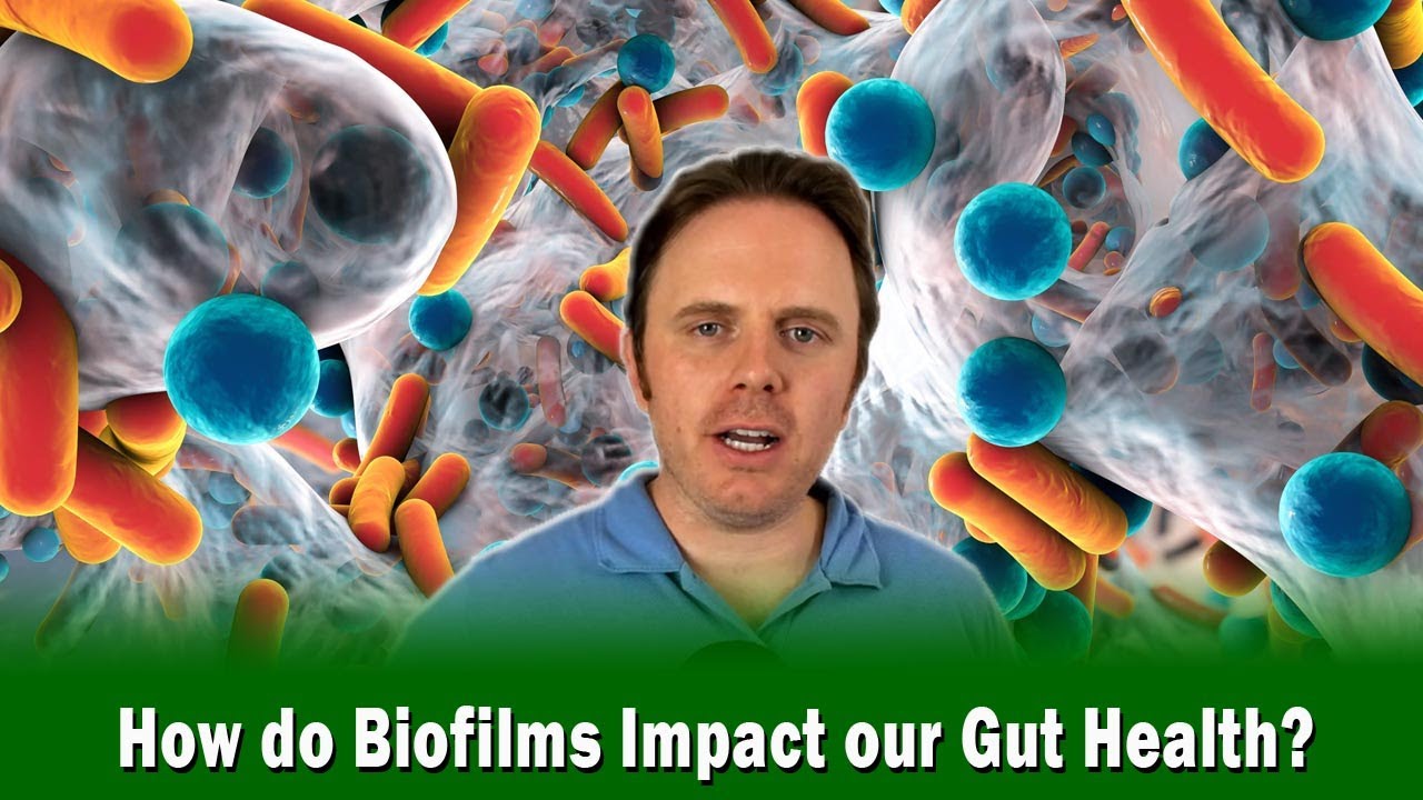 How do Biofilms Impact our Gut Health? - YouTube