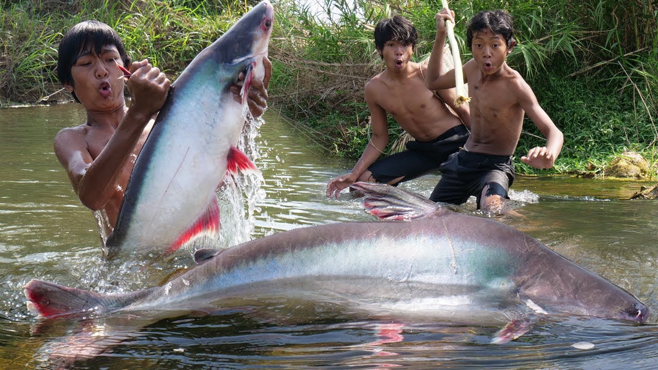 Primitive Wildlife - Cacth Big Fish Near the River - Eating delicious ...