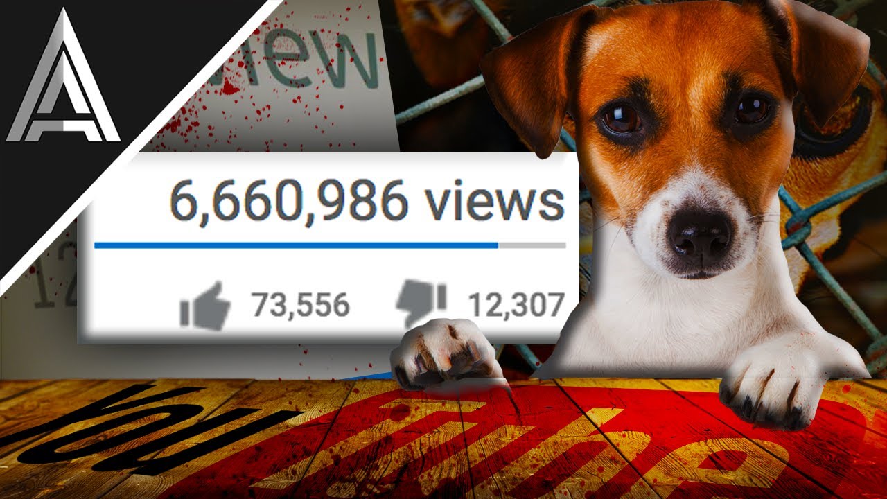 The Disturbing Fake Animal Rescue Channels | AKiNO - YouTube