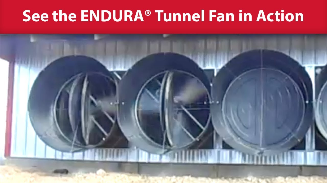 Chore-Time ENDURA® Tunnel Fan - YouTube