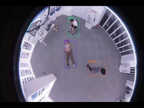 Behaviour detection from Fisheye Camera - YouTube