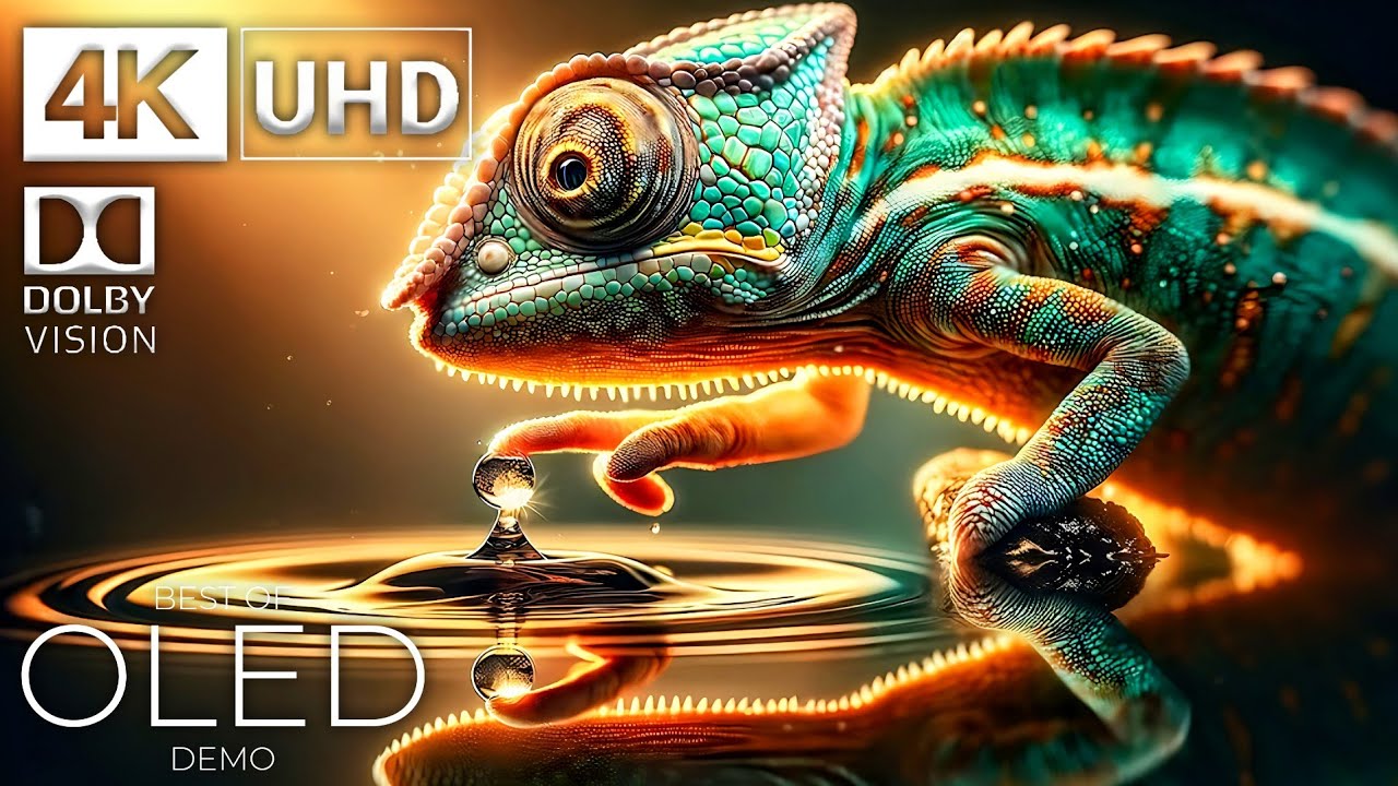 Unbelievable 4K HDR 120 FPS DOLBY VISION - YouTube