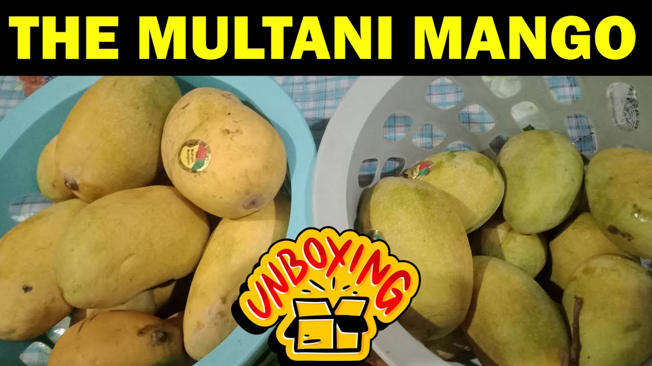 Best Multani Mango - YouTube