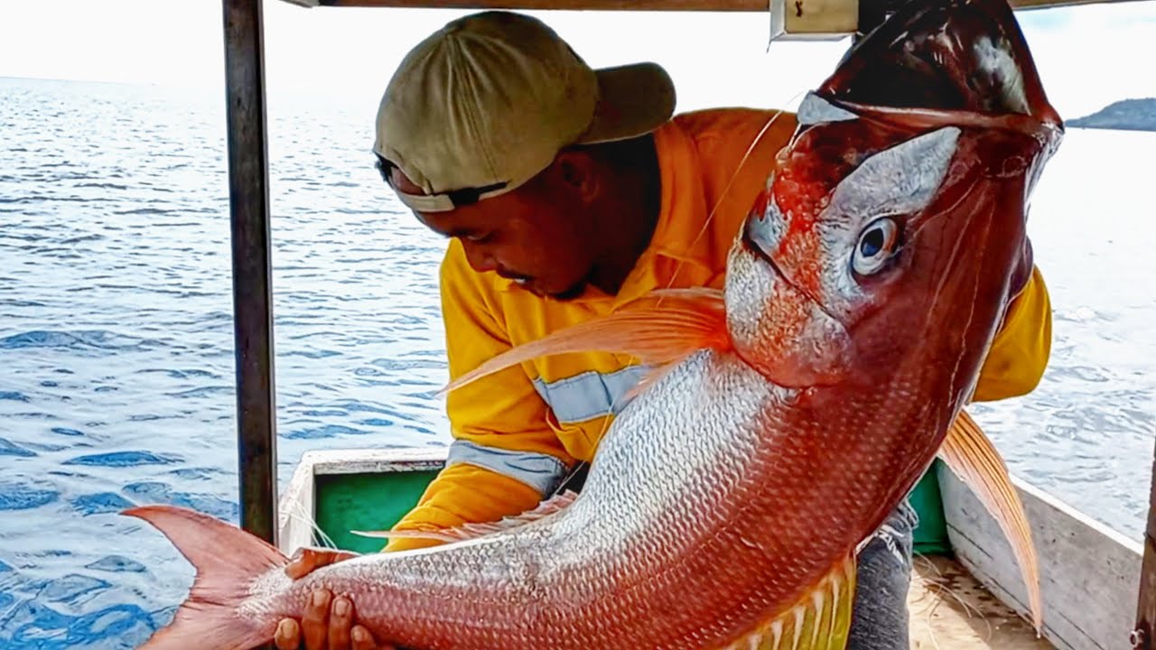 STRIKE KURISI BABON || Begini rasanya menarik ikan diatas 10 kg ...
