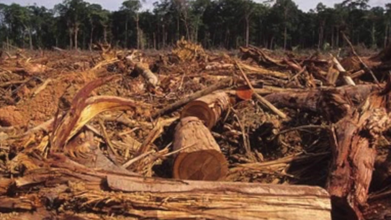 Environmental Issues in Panama (genius hour) - YouTube