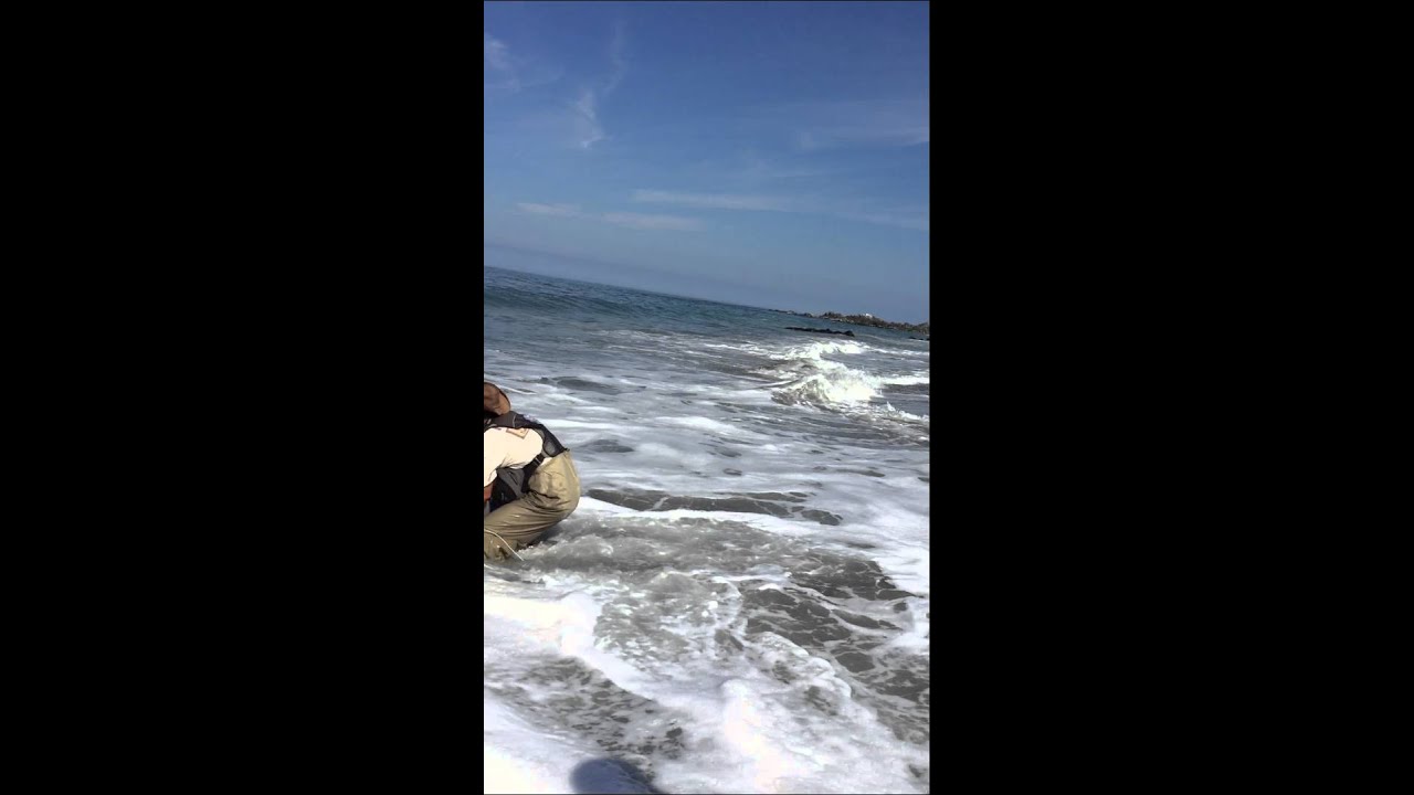 Toyo pescado por jonathan barraza - YouTube