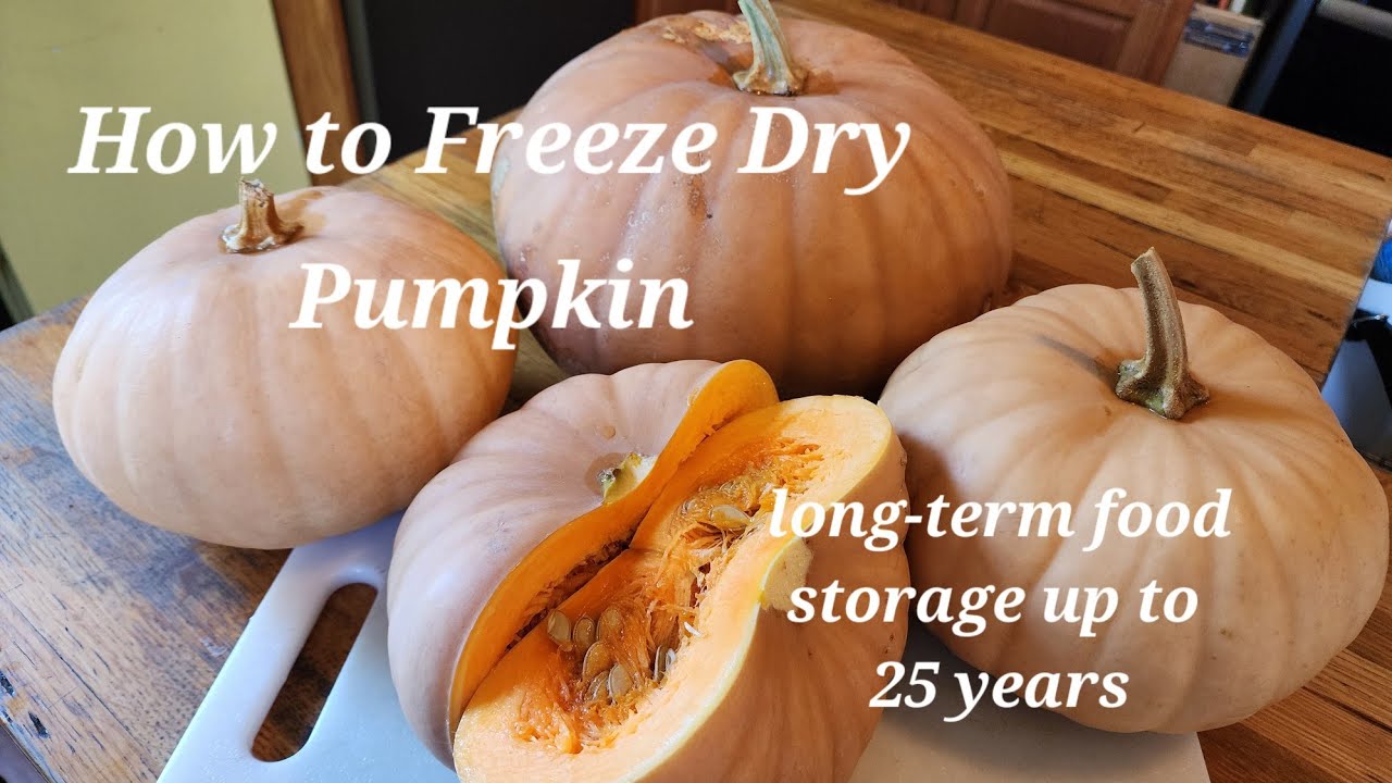 How to Freeze Dry... flat tan pumpkins - YouTube