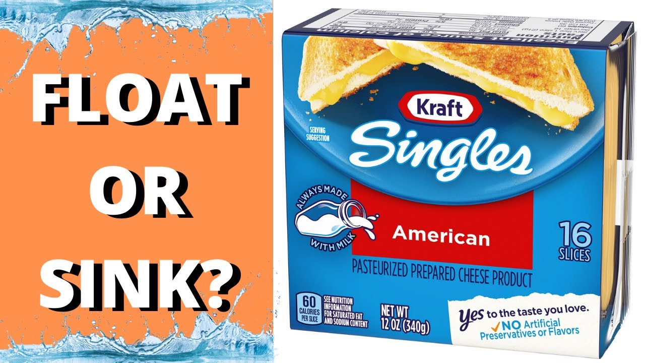 Float or Sink? CHEESE SLICE - Experiment - YouTube