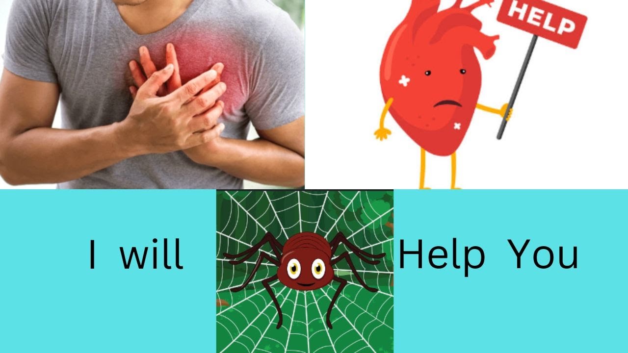 The Helping Spider - YouTube