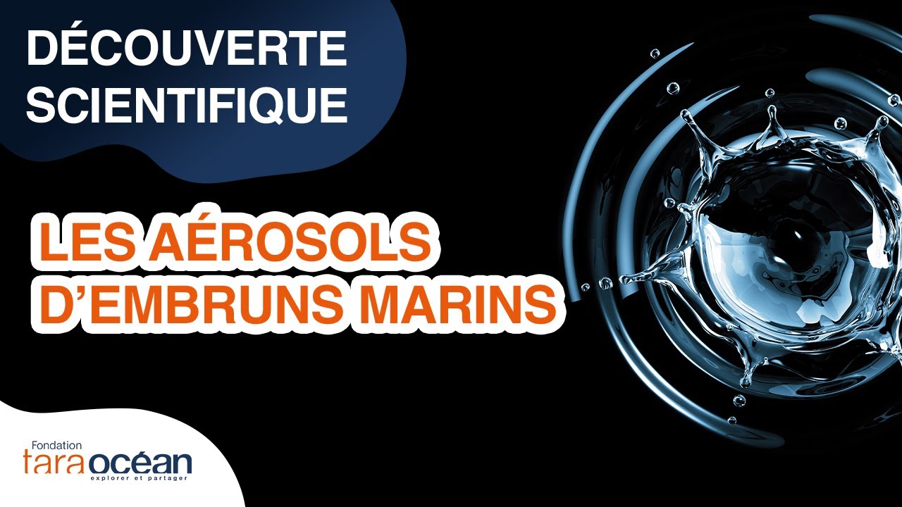 [Découverte scientifique] Les aérosols d'embruns marins - YouTube
