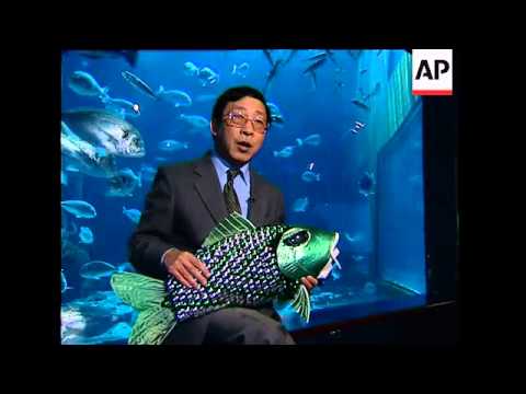 World's first autonomous robotic fish unveiled - YouTube