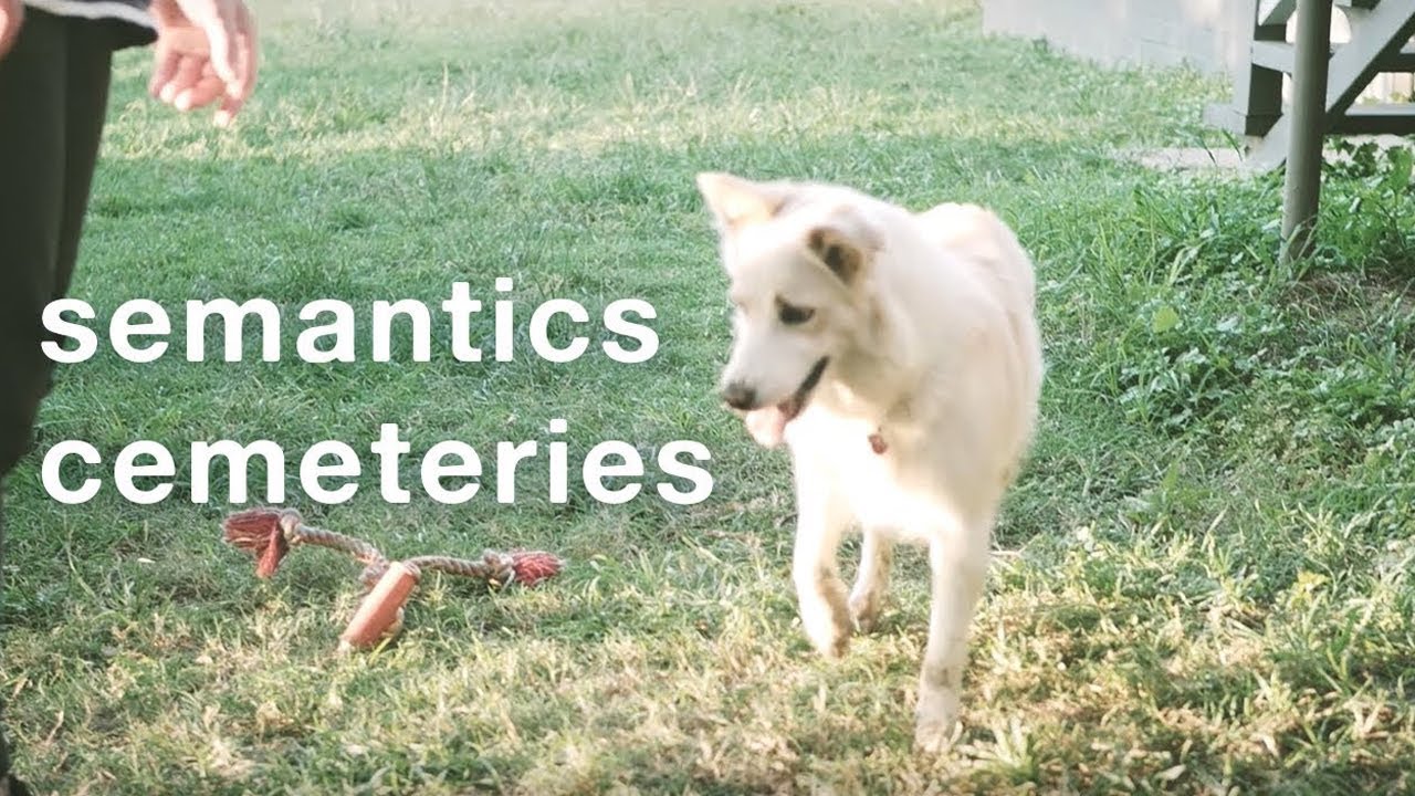 Semantics - Cemeteries (Official Music Video) - YouTube