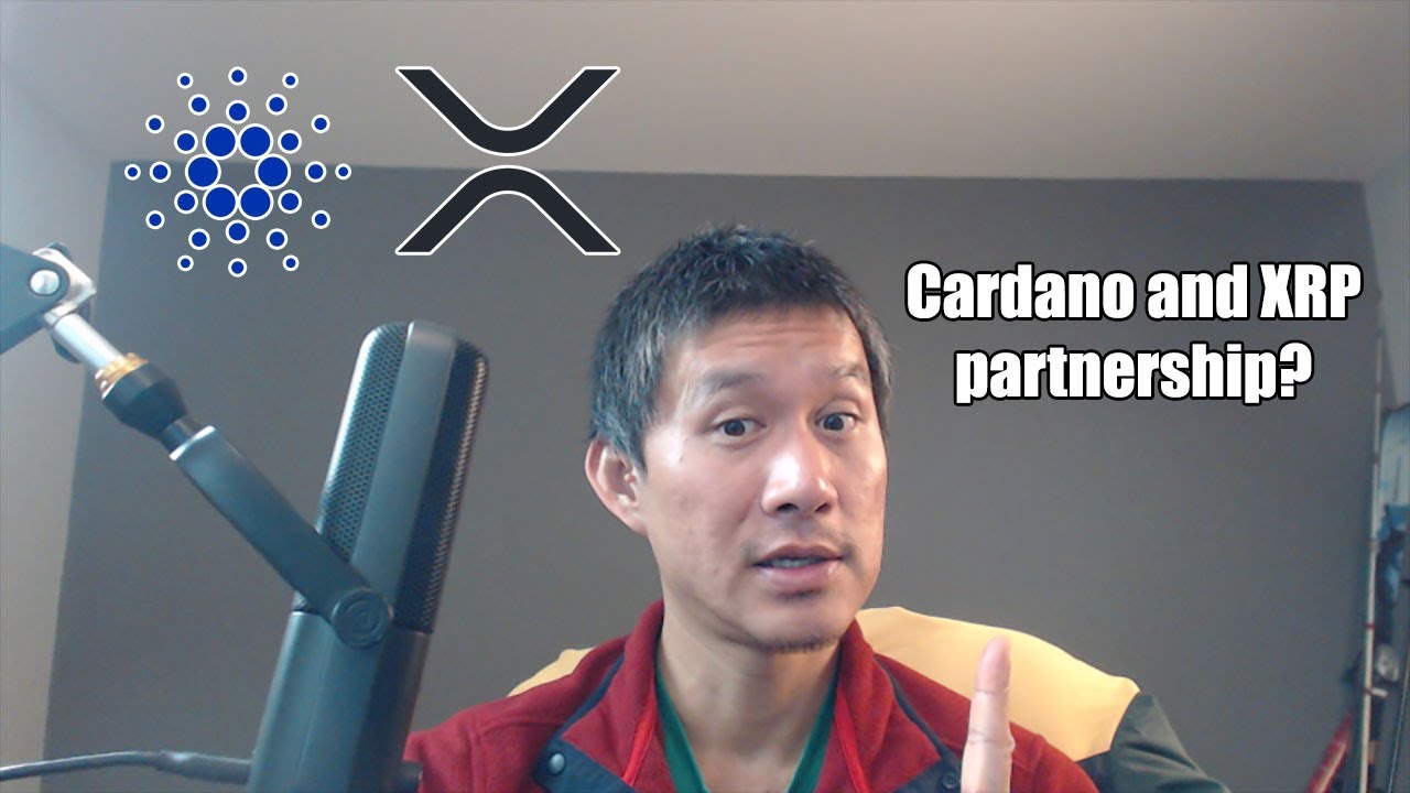 Cardano(ADA) and XRP partnership brewing? - YouTube
