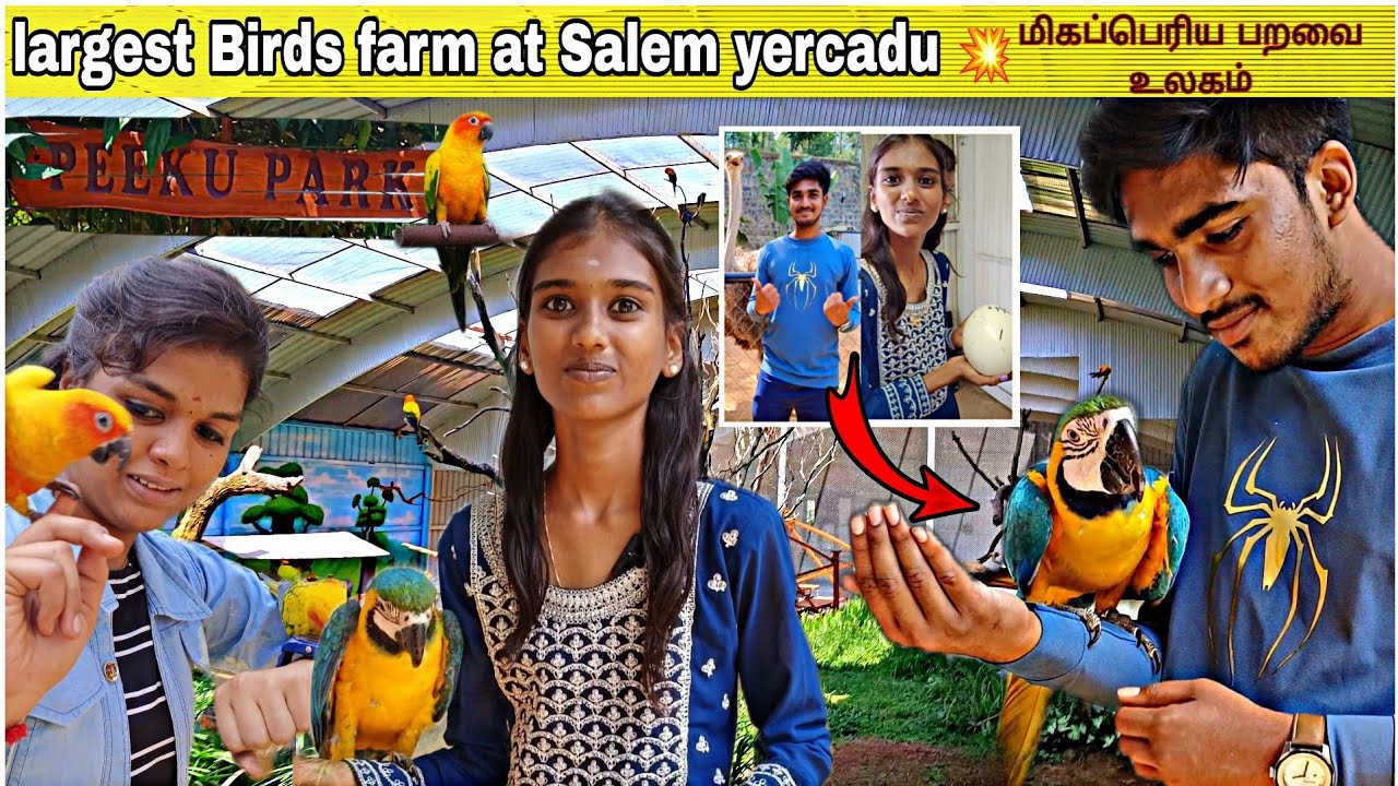 Peeku park yercadu /Exotic Birds at salem yercadu /largest birds farm ...
