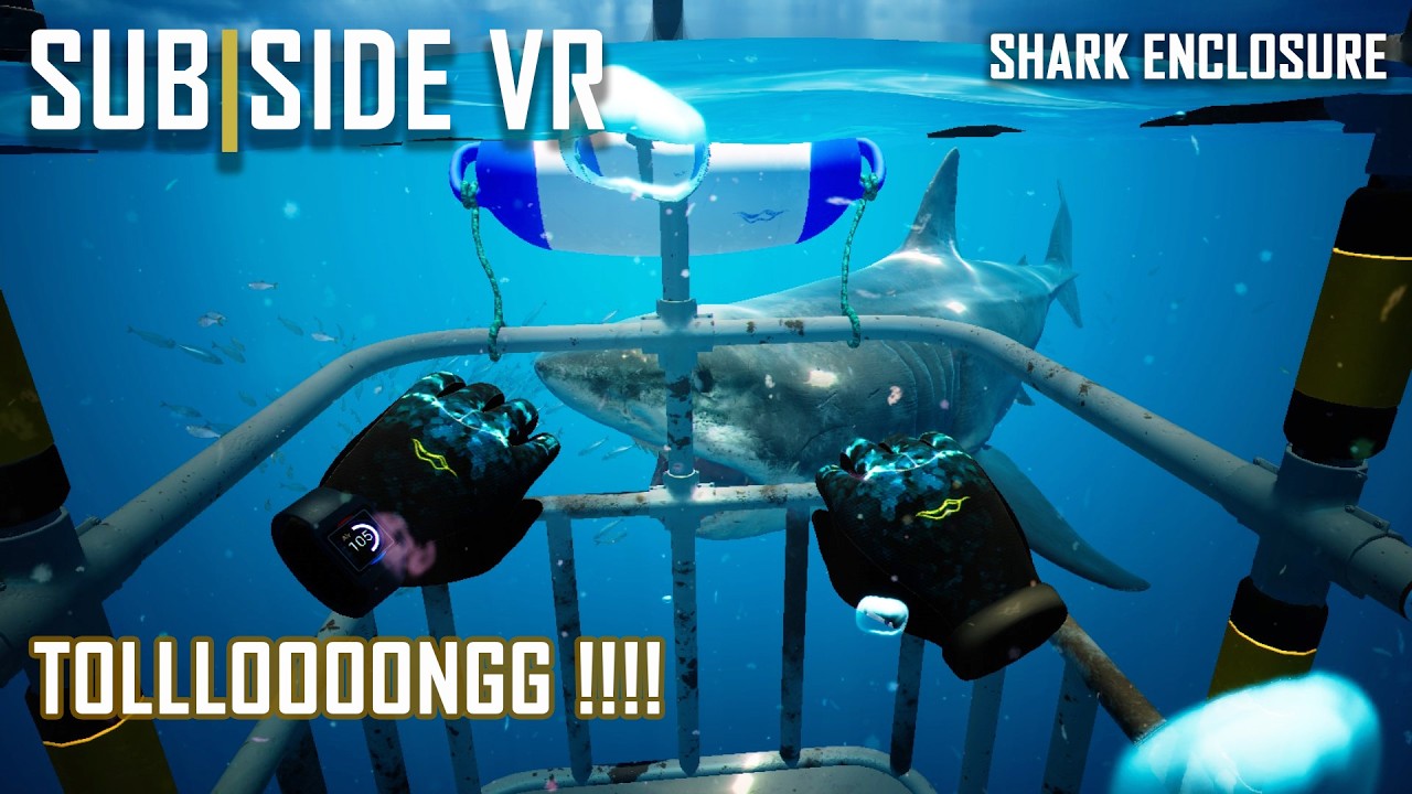 Hiu Putih BUKANLAH Hewan Peliharaan | SUBSIDE VR [SHARK ENCLOSURE ...