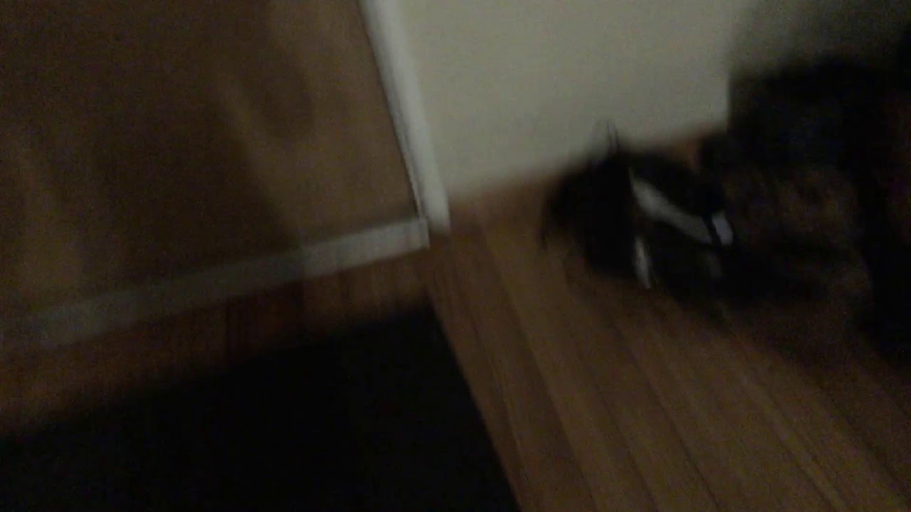October 21, 2019 - YouTube