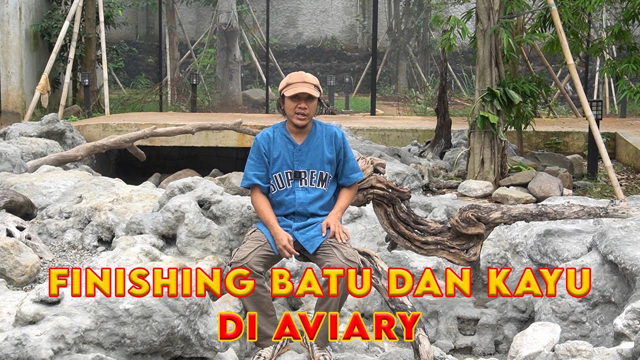 FINISHING BATU DAN KAYU DI AVIARY; MEGA PROJECT AVIARY EPS 06 - YouTube