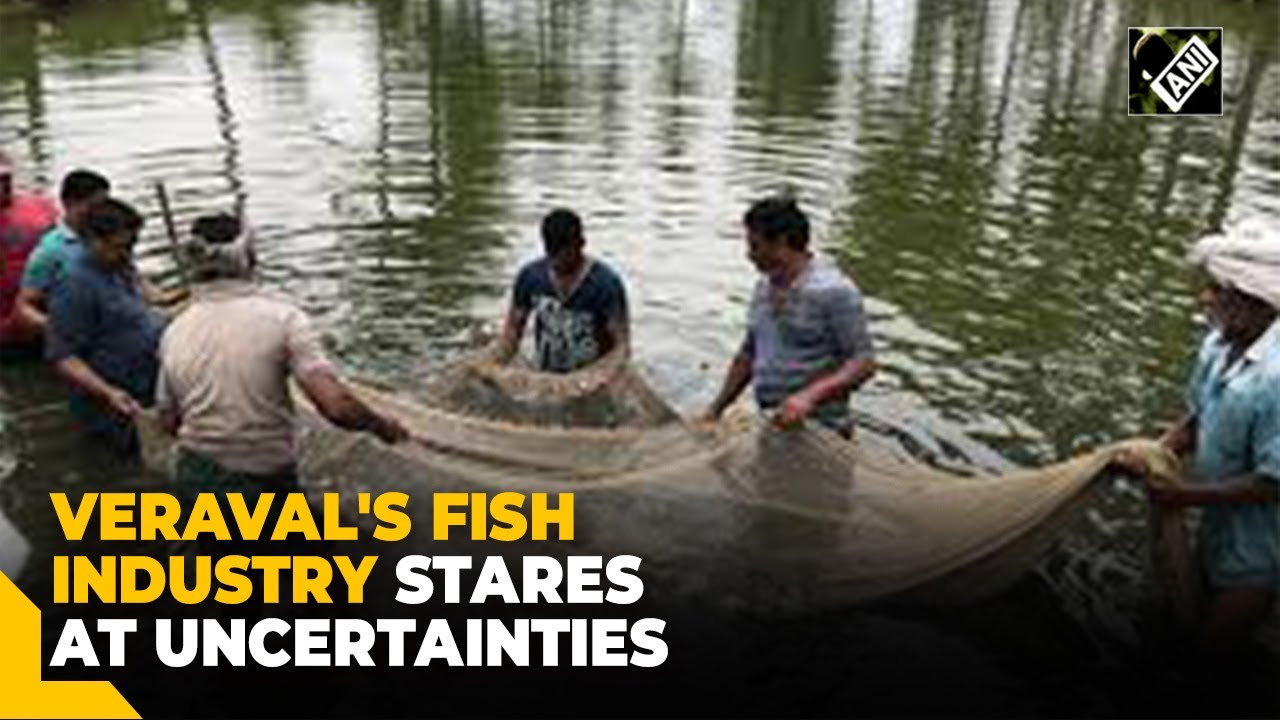 ‘Facing stiff competition from Pak fishermen,’ Veraval fish industry ...