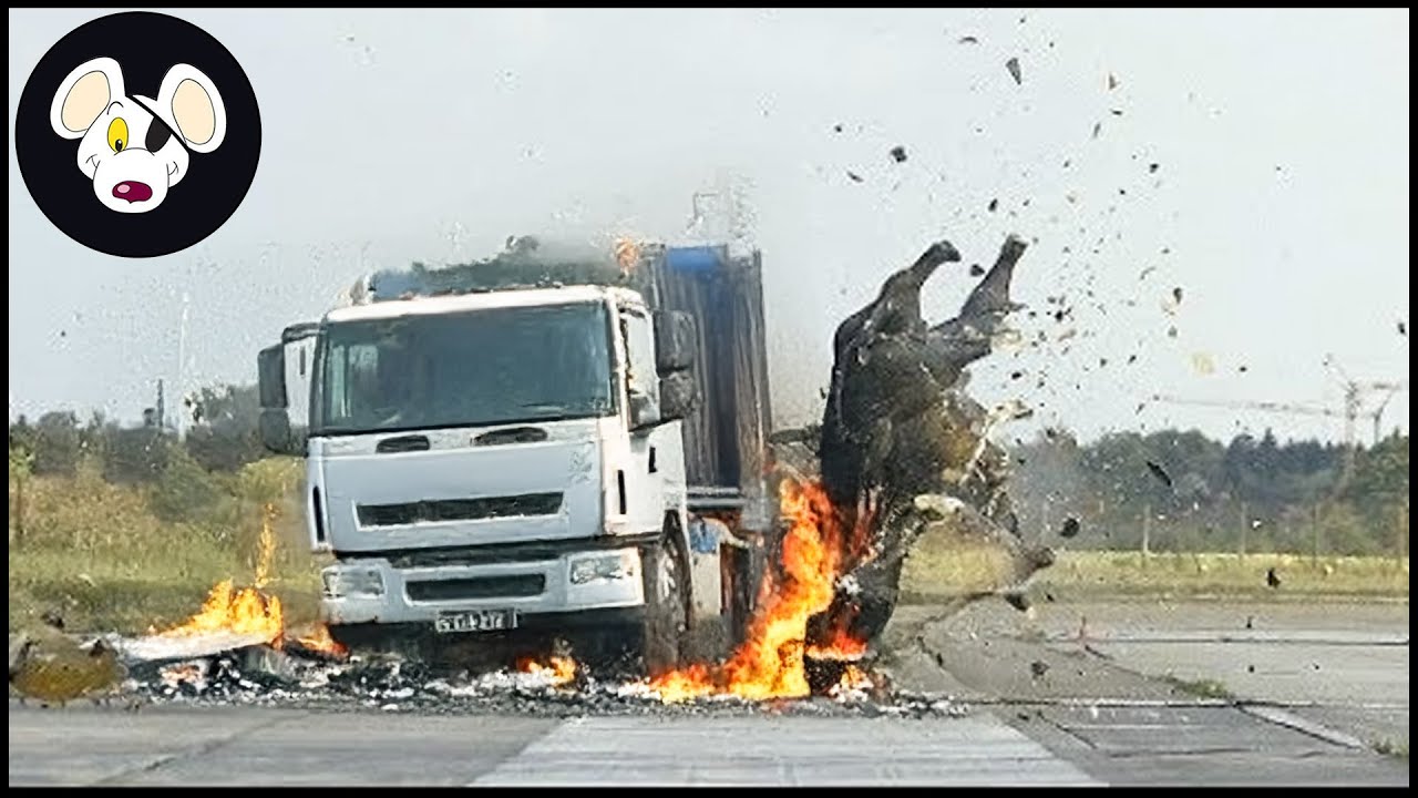 20 Terrifying Moments Of Invasive Animals Colliding With Trains And ...