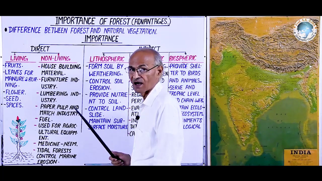 वनों का महत्व (लाभ) | Importance of Forest (Advantages) | Part- 43 | S ...