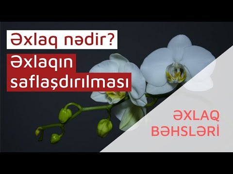 Əxlaq Nədir? | Əxlaq Bəhsləri