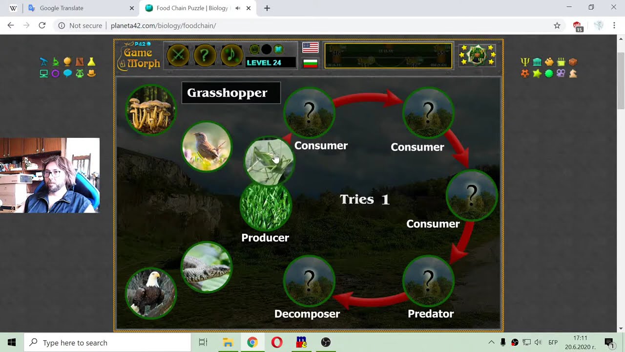 Food Chain - Fun Biology Educational Game - YouTube
