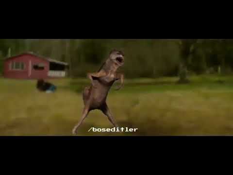 yaşasın ırkımız alacakaranlık