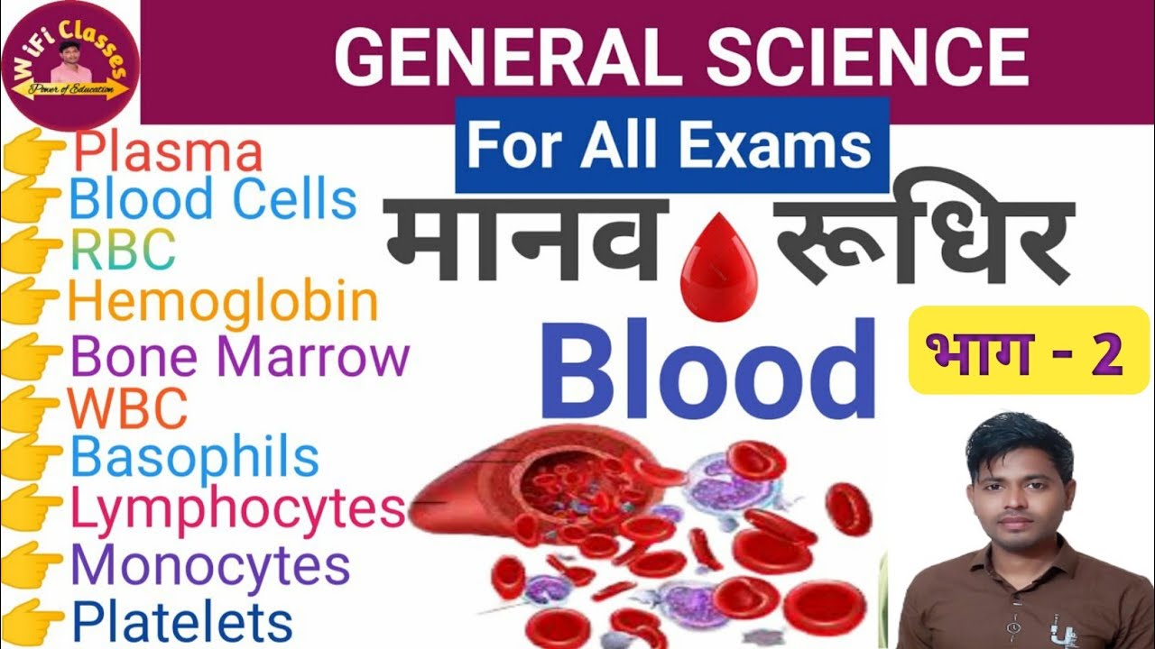 Human Blood (रक्त परिसंचरण तंत्र) । RBC । WBC । PLASMA । Platelets ...