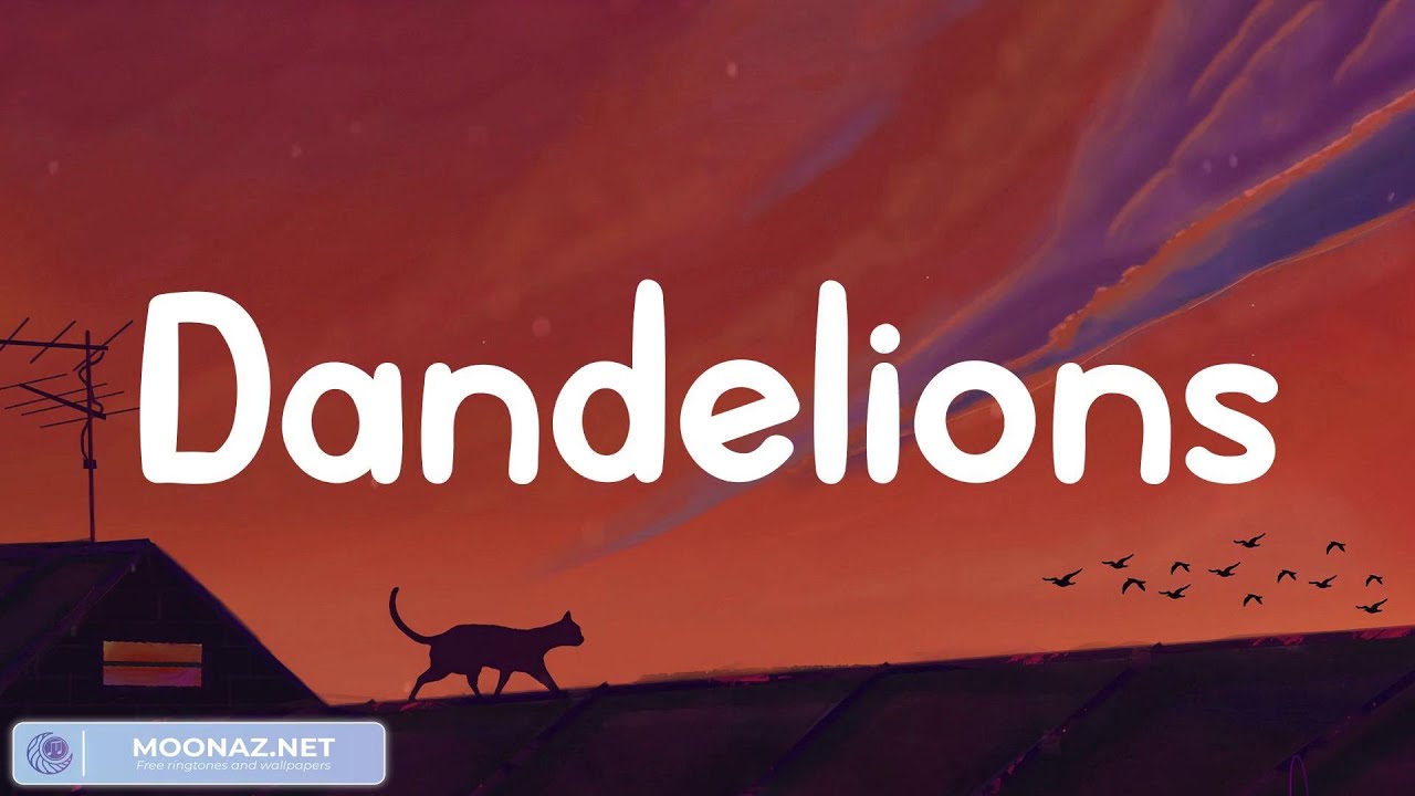 Dandelions - Ruth B. [Lyrics] | Shawn Mendes, Ellie Goulding, Calvin ...