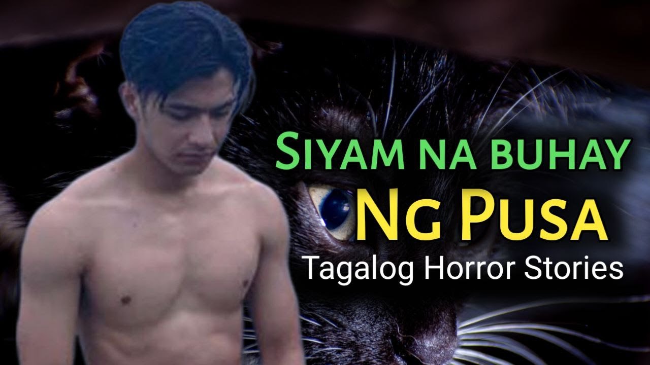 SIYAM NA BUHAY NG PUSA | TRUE HORROR STORIES | TAGALOG HORROR STORIES ...