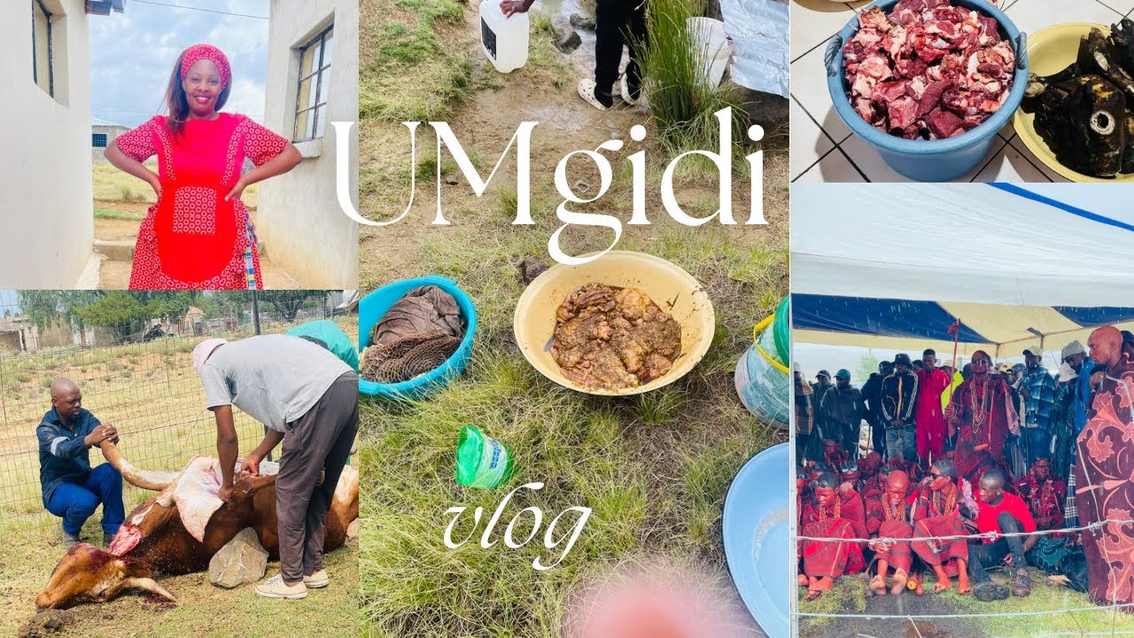 Umgidi Vlog: My Makoti Era | From Boy to Man | Eastern Cape Sterkspruit ...