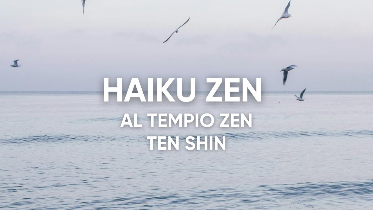 Haiku Zen | Teaser - YouTube