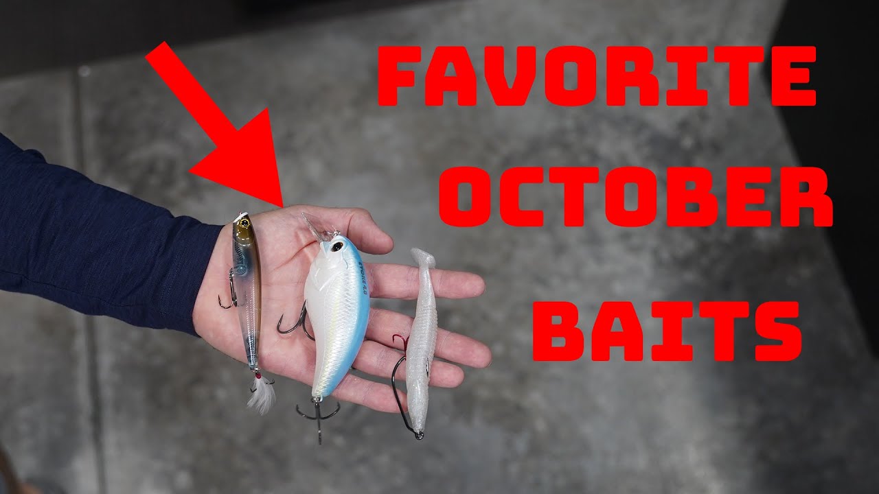 Our 5 Favorite Baits To Fish In The Month Of October To Catch Big Bass ...