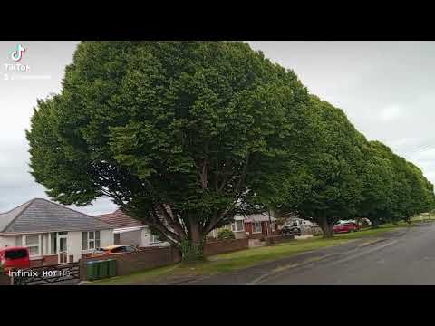 SO16 #unitedkingdom #shorts