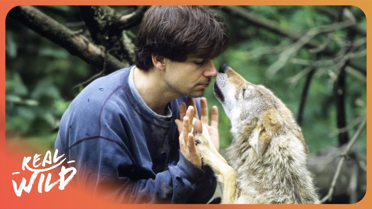 The Wolf Whisperer: Meet the Man Who Trains Wild Animals To Be Movie Stars - YouTube