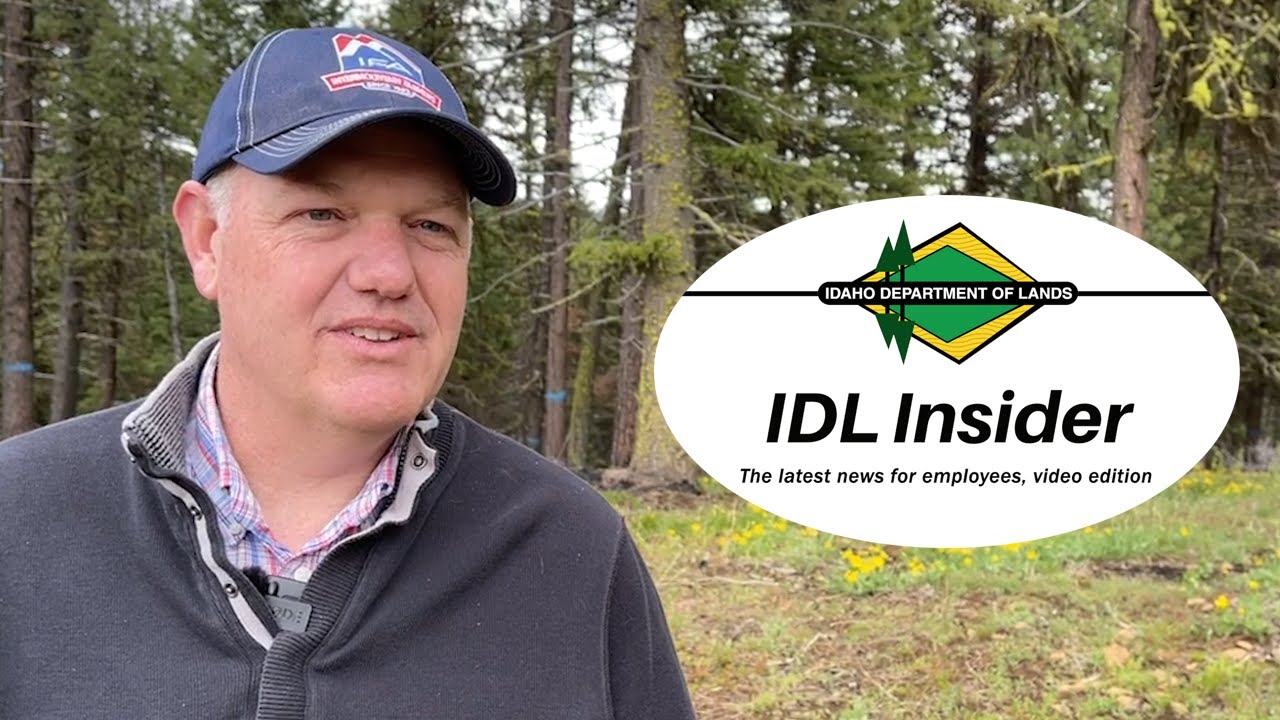 State Controller Brandon Woolf expresses appreciation for IDL staff ...