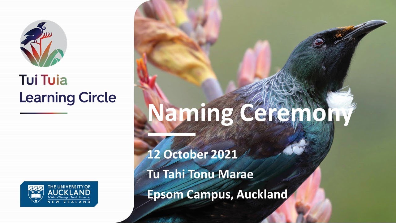 Learning Circle/Tui Tuia New Brand Name Staff Launch - YouTube