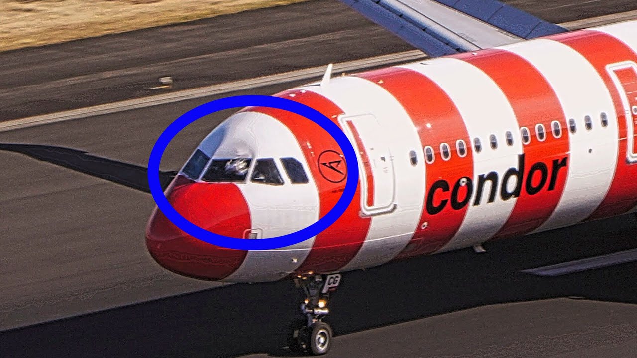 BIRD STRIKE CONDOR Airbus A321 at Madeira Airport - YouTube