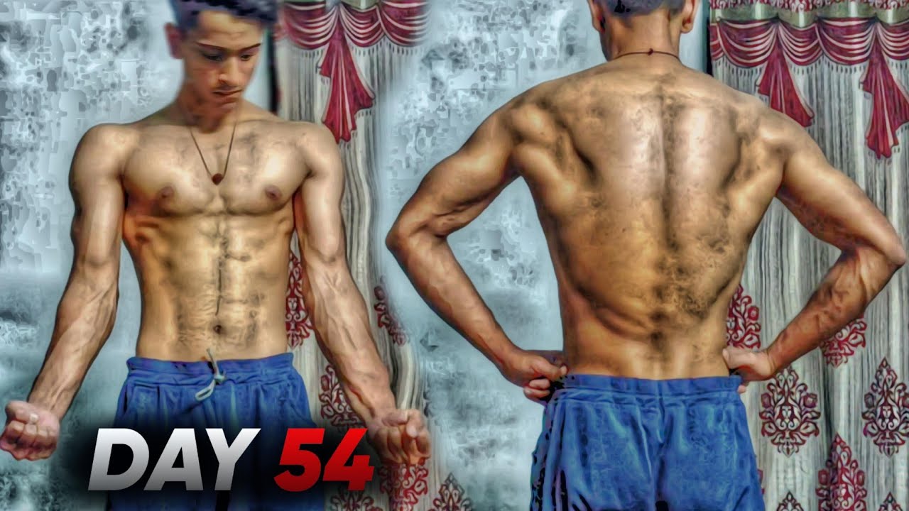 Day 54 Of Body Transformation At Home Workout || Back , chest , arms ...