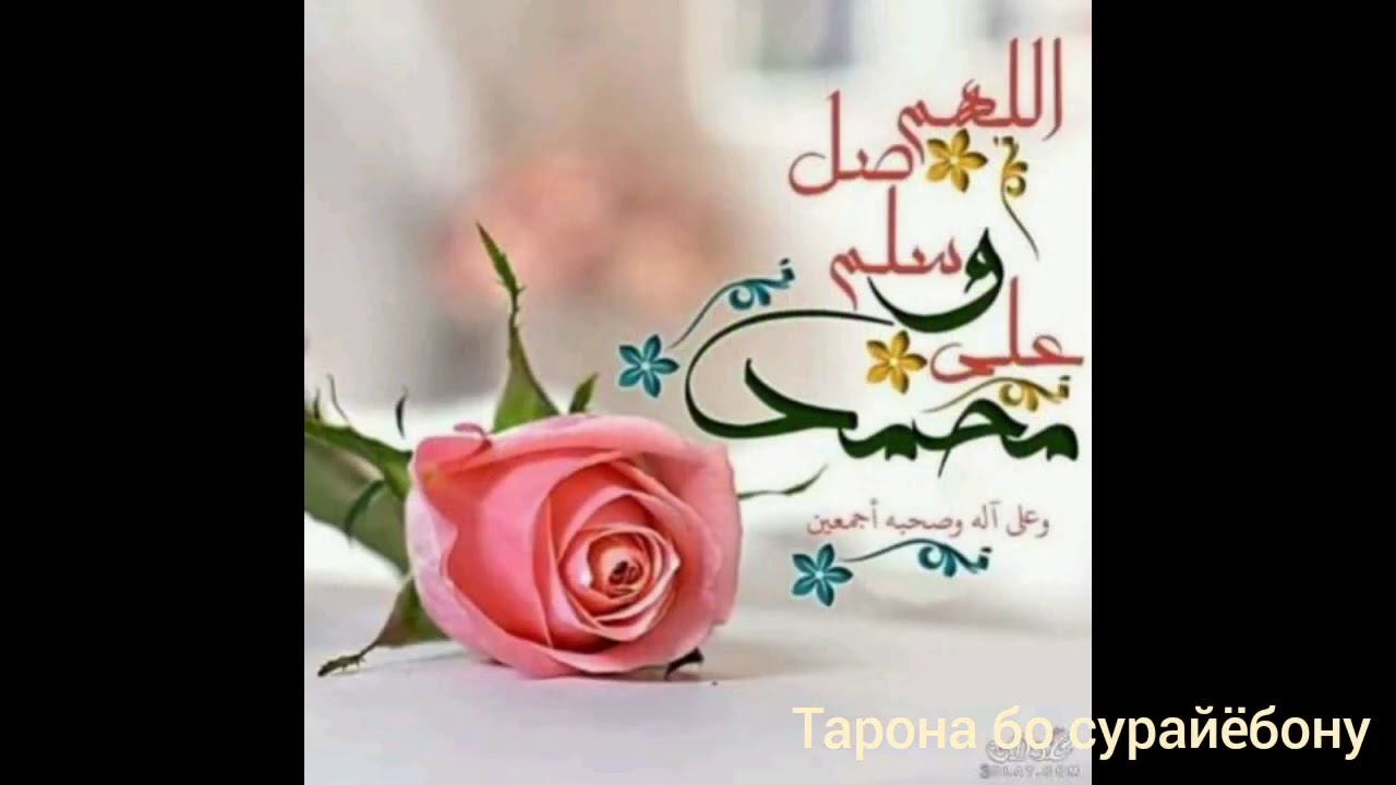 Тарона бо сурайёбону Youtube
