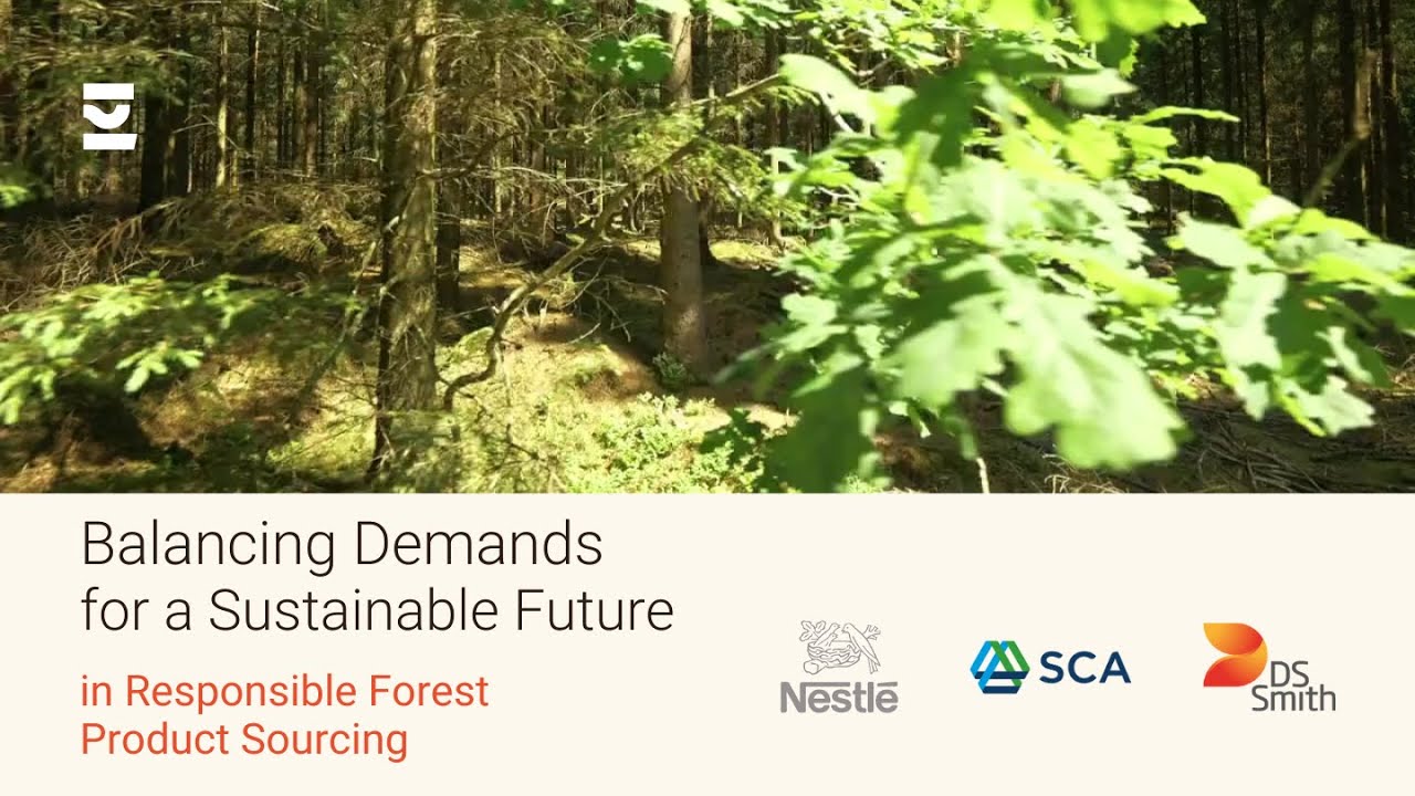 The Future of Sweden's Forests, A Collaborative Exploration (HFL) - YouTube