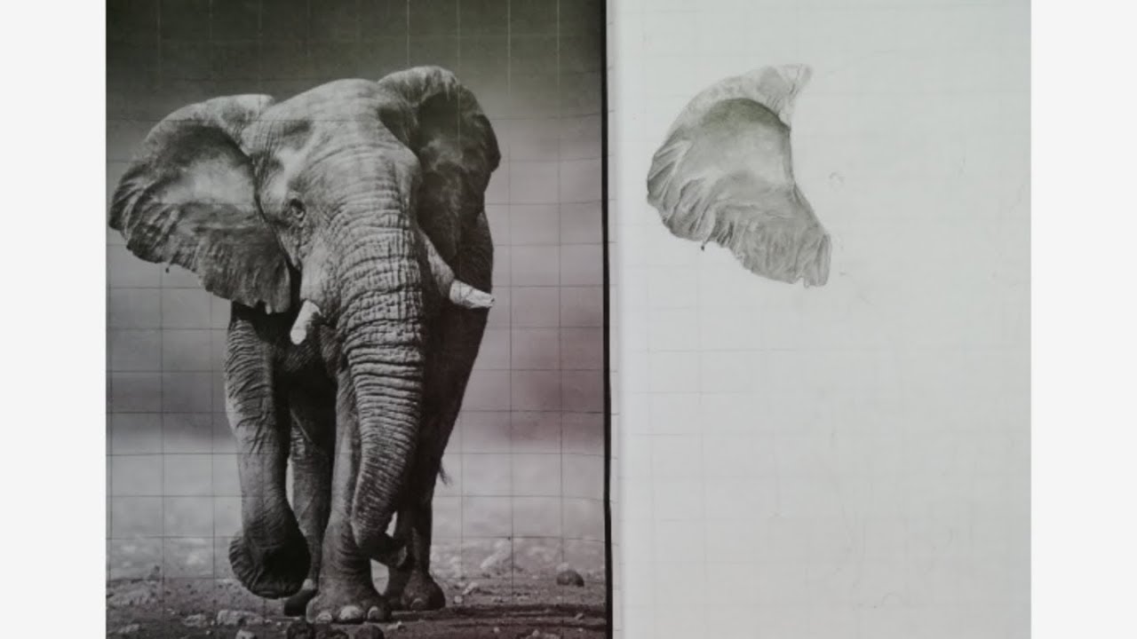 Hyper realistic skin texture drawing of elephant | Part-2 - YouTube