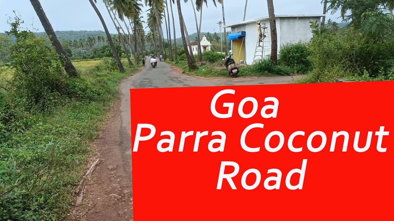 Goa/ Parra Coconut Road Very Beautiful Place - YouTube