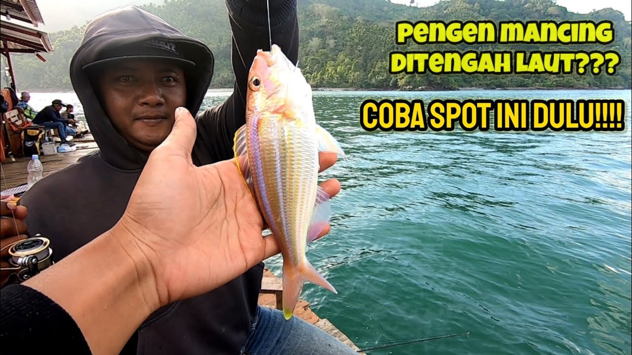 SPOT MANCING DI TENGAH LAUT PALING PAS BUAT PEMULA || mancing ikan di ...