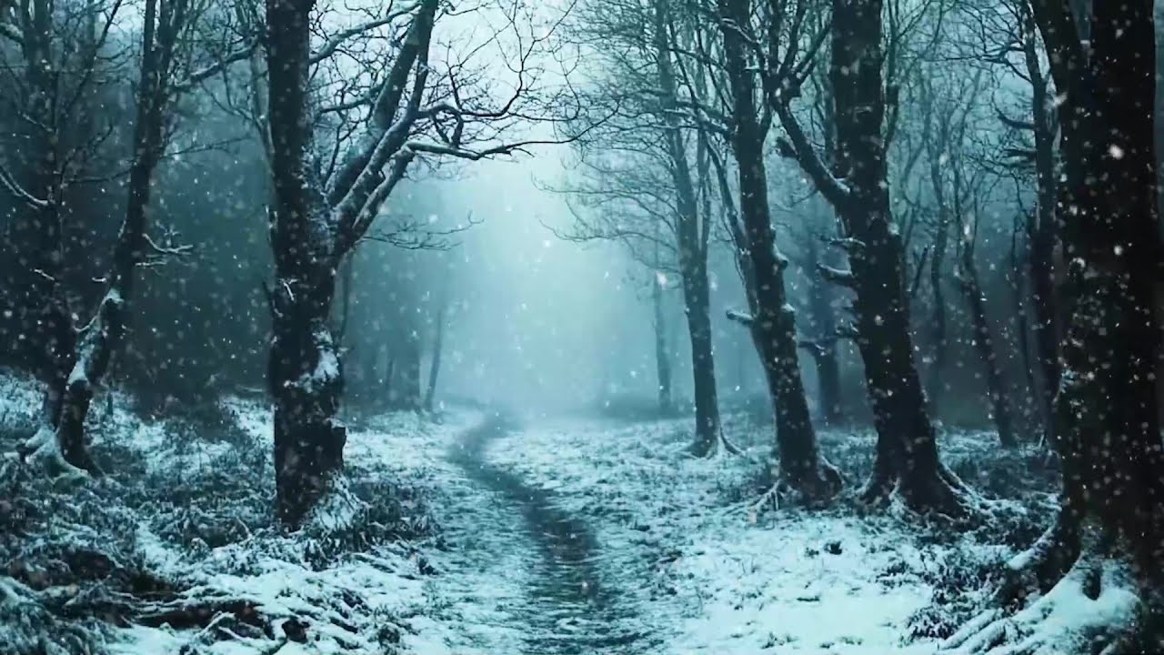 Sounds Snow Relax - Winter Ambience with Relaxing Wind Gust & Snowfall ...