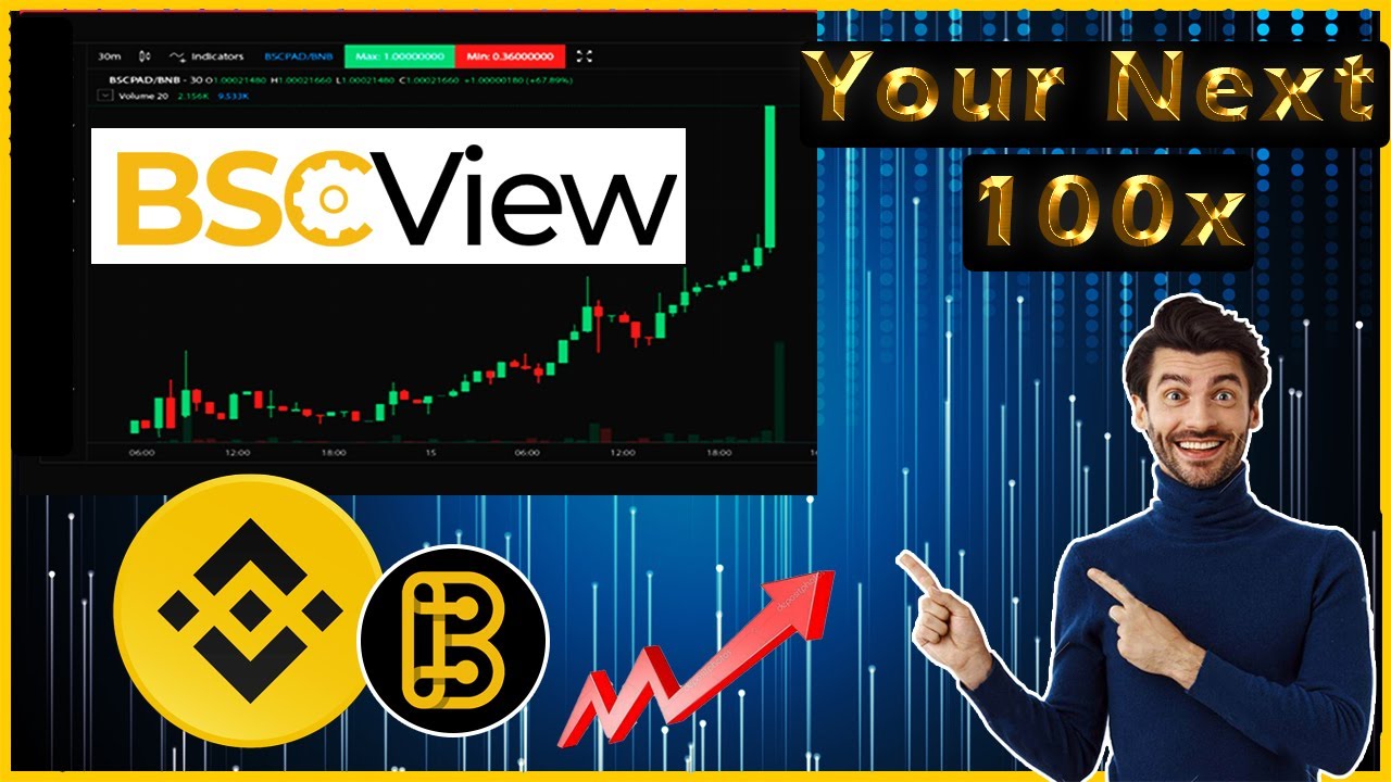 BSCVIEW and BSCPAD Complete Review| BSCPAD First IDO Token Launch ...