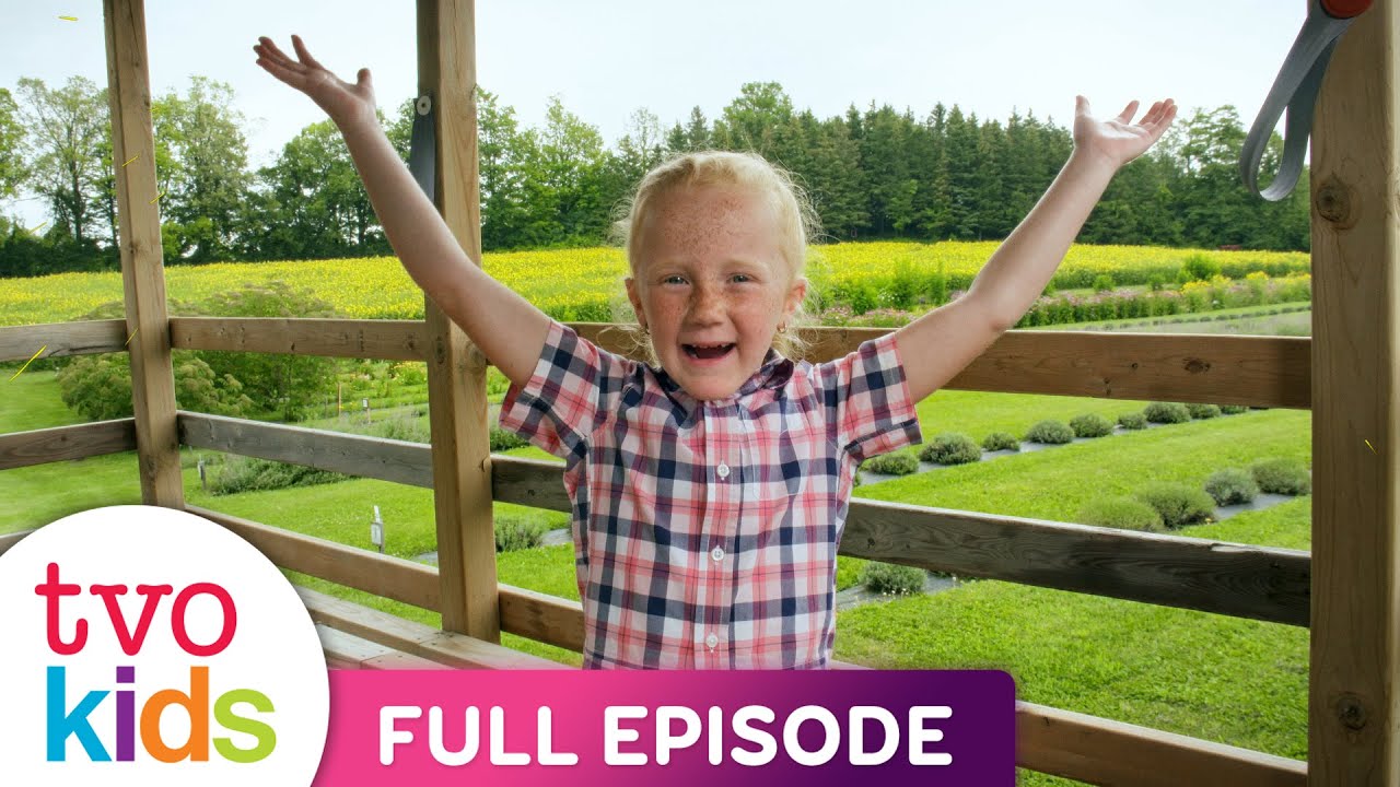 GABBY'S FARM - Sunflowers - Full Episode - YouTube