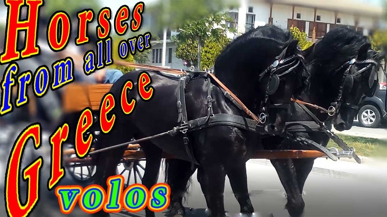 Άλογα απ όλη την Ελλάδα, Βόλος 13 Μαΐου 2018 - YouTube