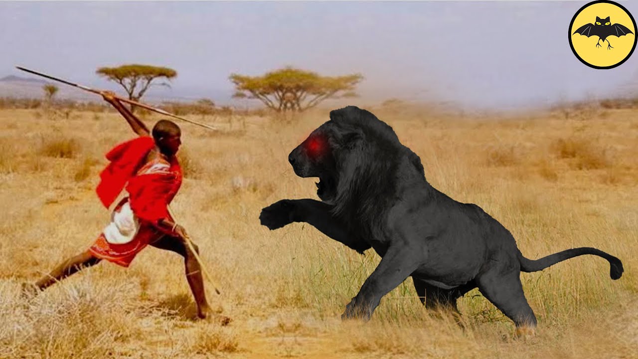 The Chilling Demon Lion of Africa. - YouTube